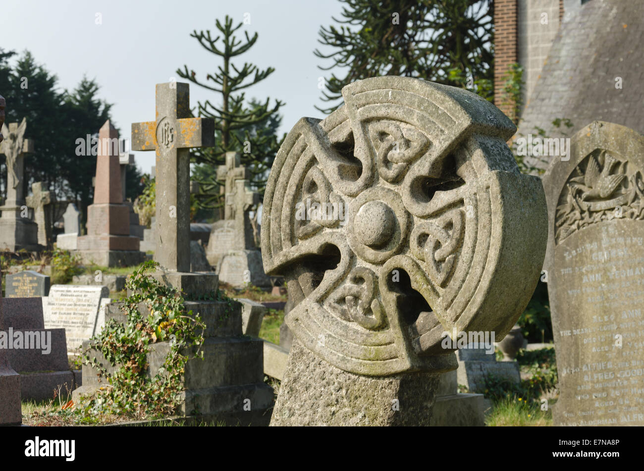 rows of slate sandstone marble limestone contrast as headstone in a ...