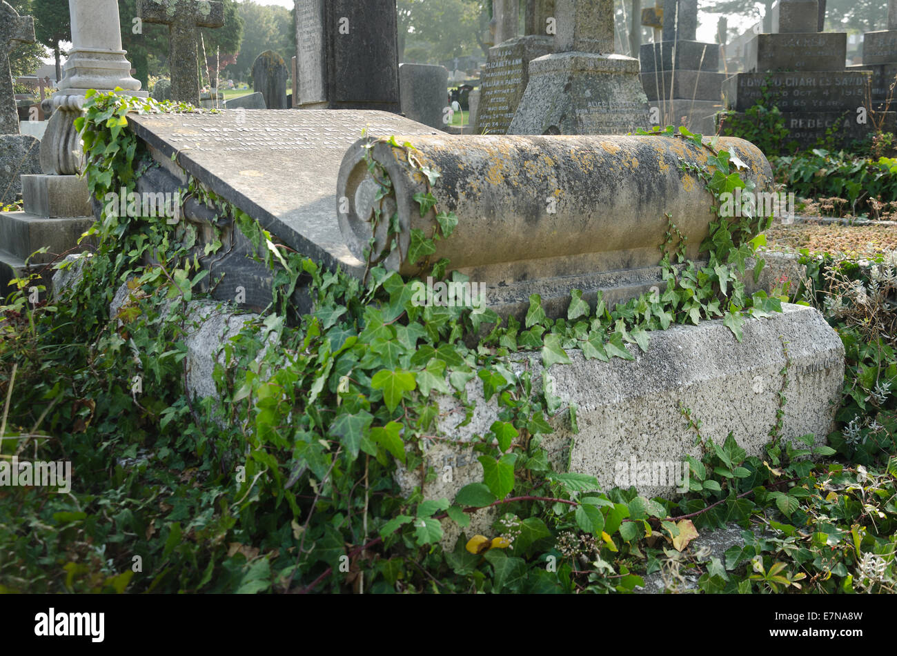 rows of slate sandstone marble limestone contrast as headstone in a ...