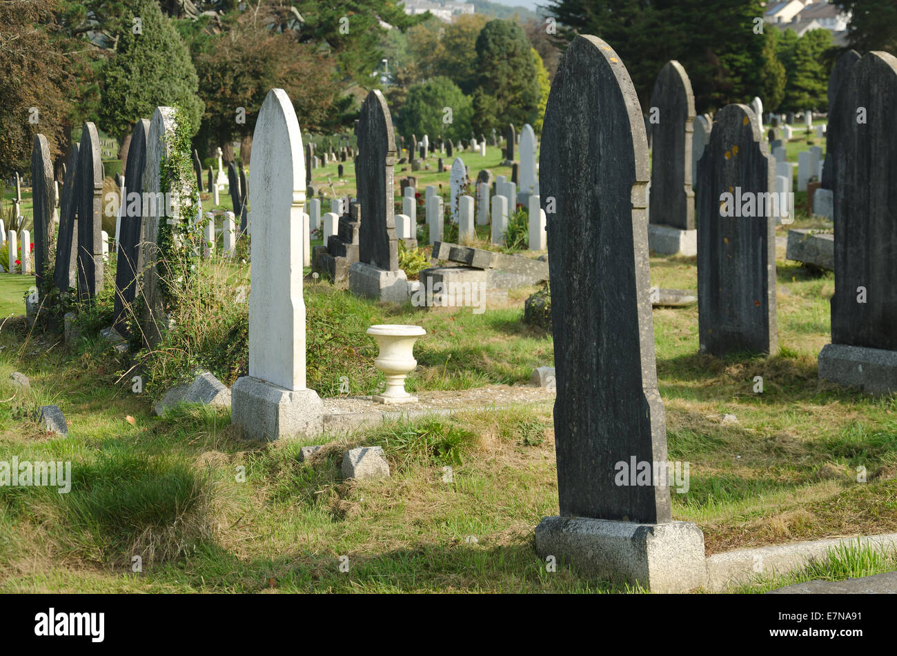 rows of slate sandstone marble limestone contrast as headstone in a ...