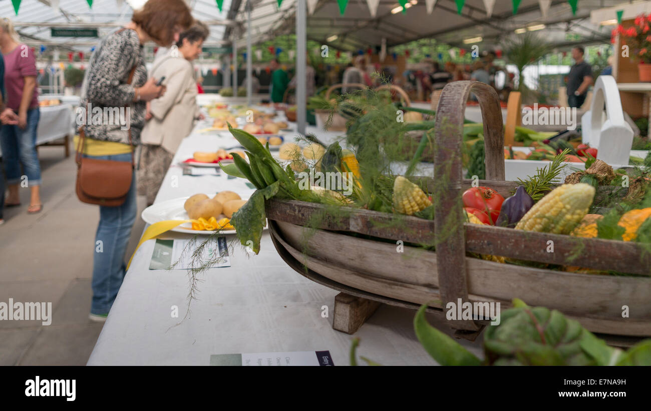 Competition vegetables hi-res stock photography and images - Alamy