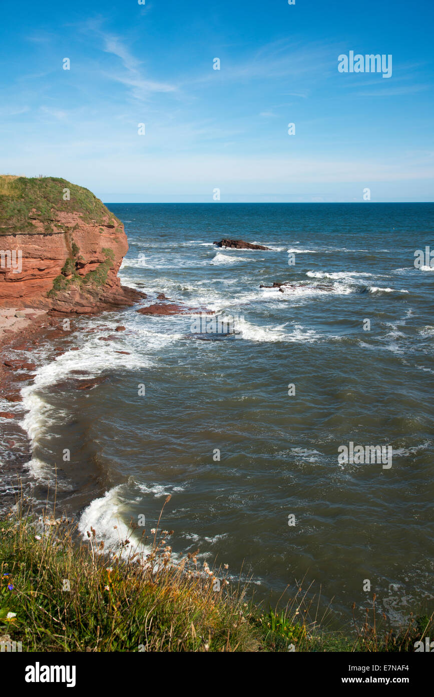 Cliffs and Sea at Whiting Ness, Arbroath, Scotland Stock Photo - Alamy