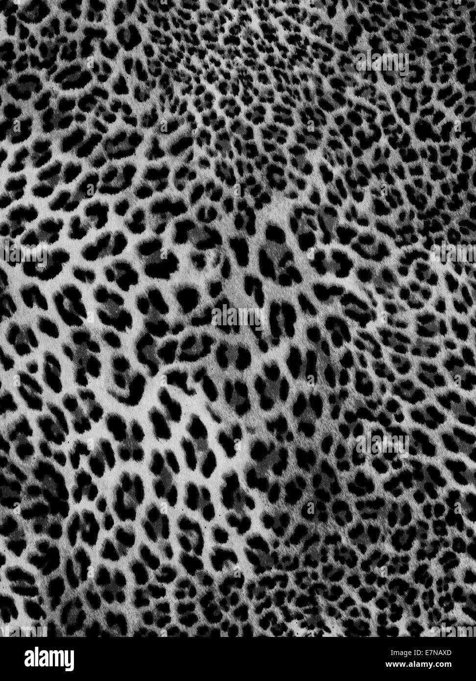 The fabric on striped leopard for background Stock Photo - Alamy