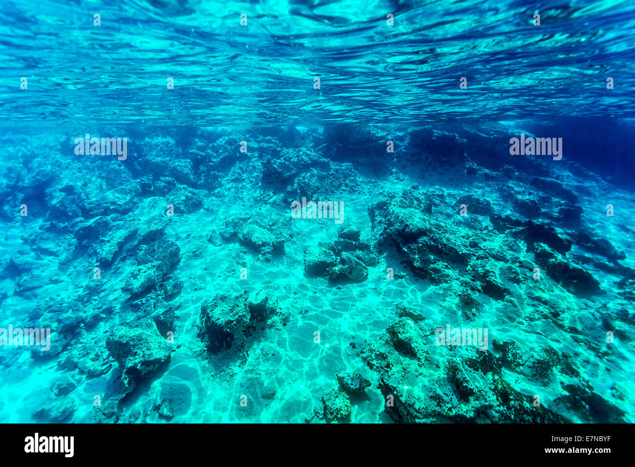 Beautiful seabed background, gorgeous sea bottom through transparent ...