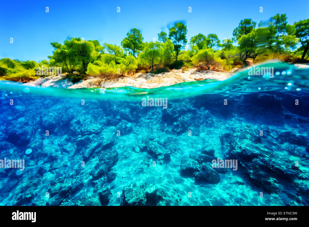 Beautiful undersea nature, gorgeous sea bottom through transparent blue ...