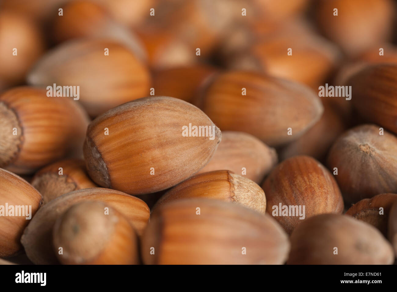 Cobnut hi-res stock photography and images - Alamy