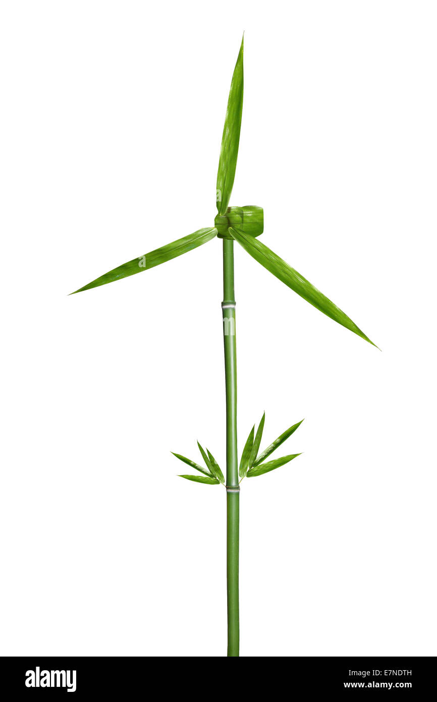 Windmill made leaves hi-res stock photography and images - Alamy