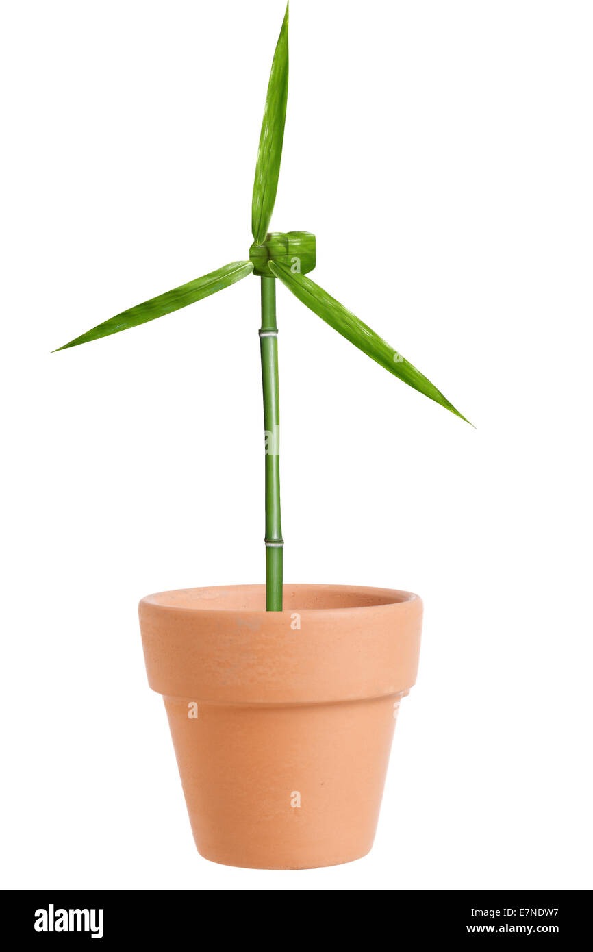 Windmill made of bamboo and bamboo leaves Stock Photo - Alamy