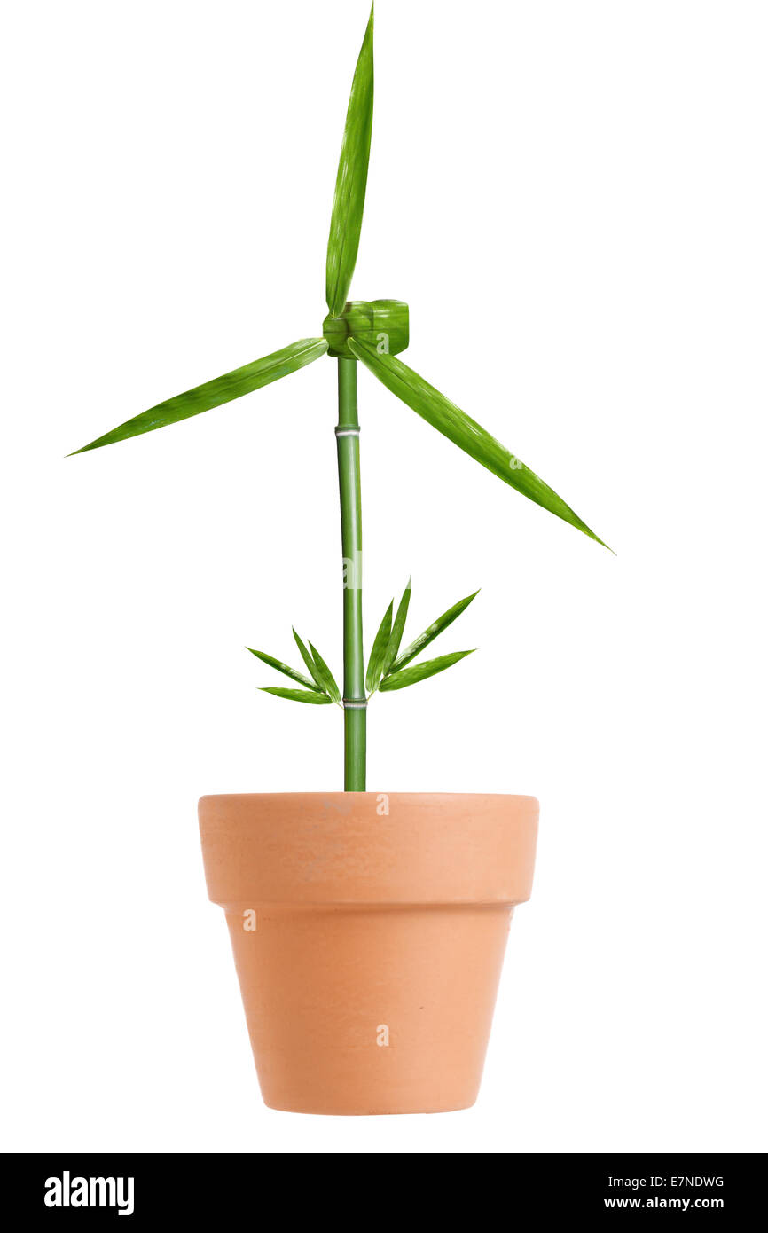 Windmill made of bamboo and bamboo leaves Stock Photo - Alamy