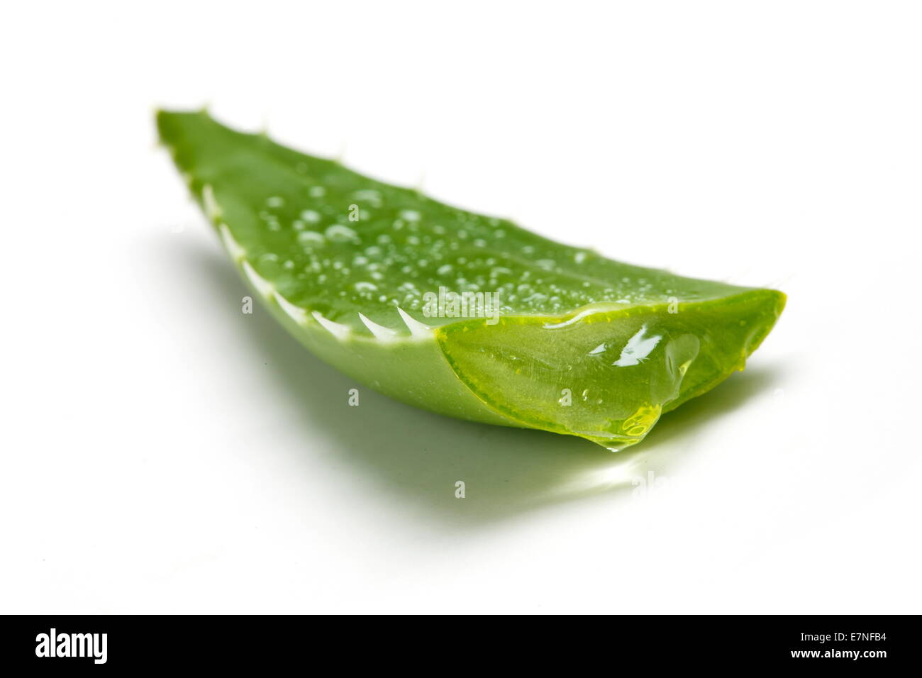 Aloe vera leaf cross section Cut Out Stock Images & Pictures - Alamy