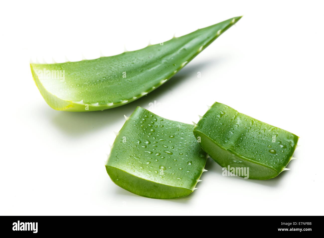 Aloe vera leaf cross section Cut Out Stock Images & Pictures - Alamy