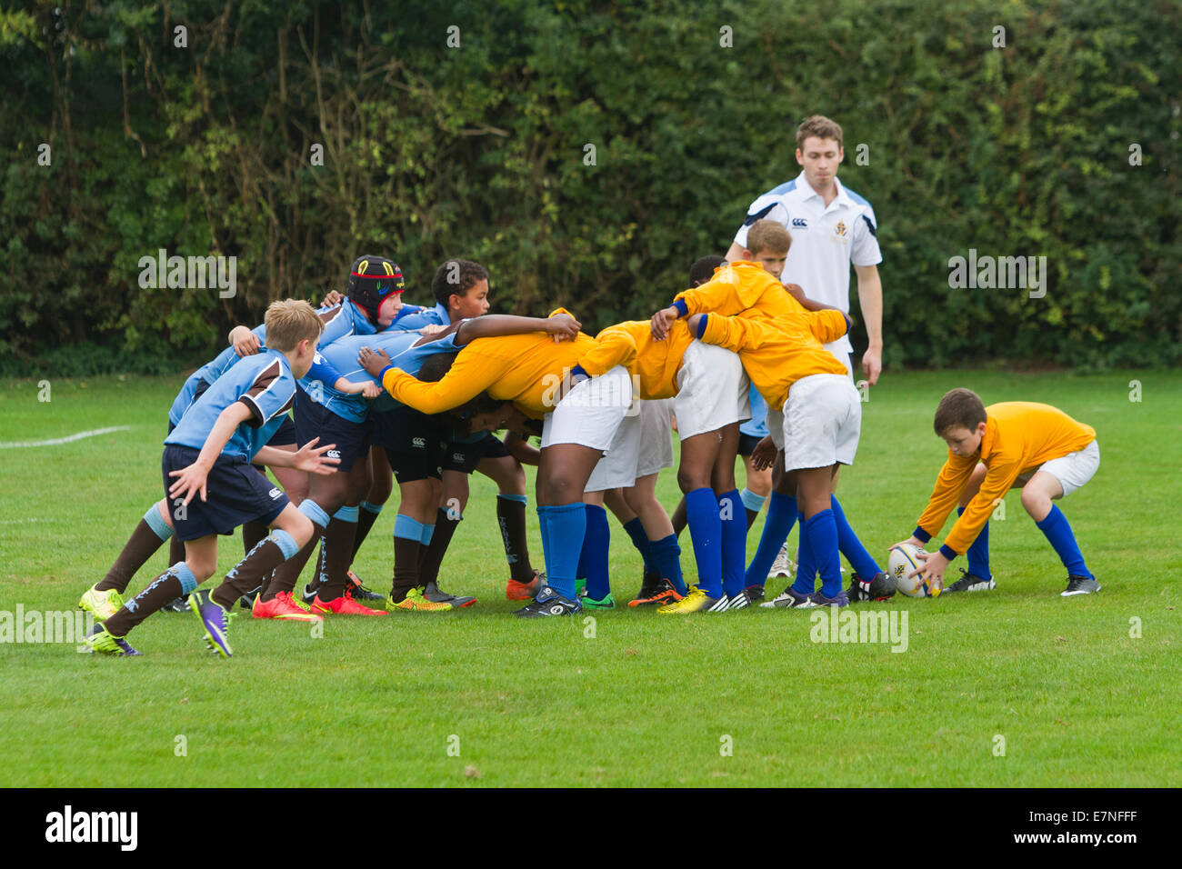 school children playing rugby in the United Kimgdom Stock Photo - Alamy