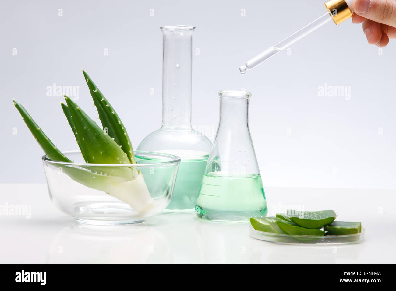 Experiment with Aloe Stock Photo - Alamy
