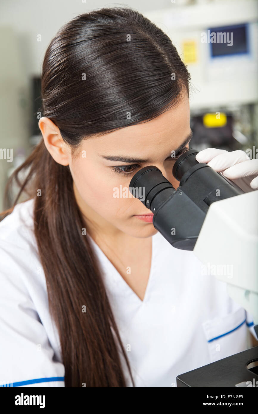 Female Scientist Looking Through Microscope Stock Photo - Alamy