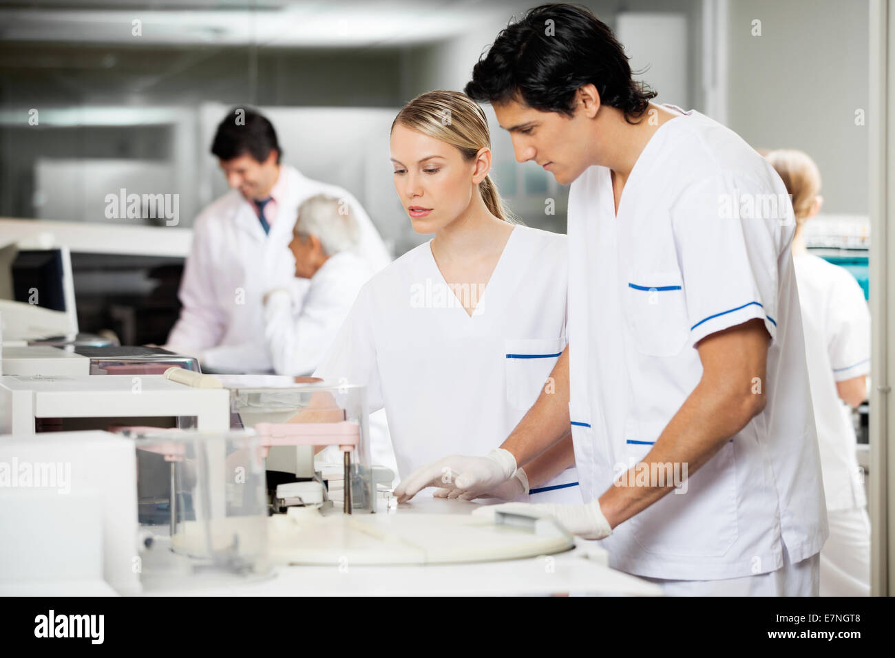 Researchers Working In Laboratory Stock Photo - Alamy