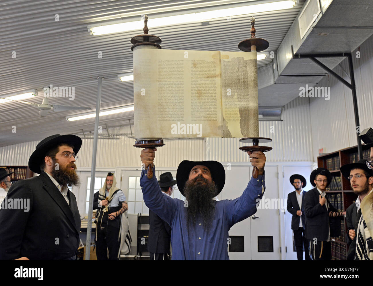 Crown lift hi-res stock photography and images - Alamy