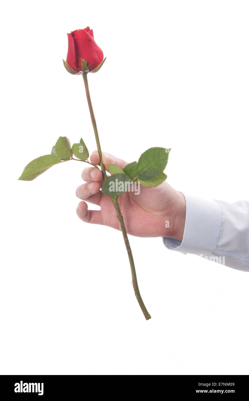 Man holding rose Stock Photo - Alamy