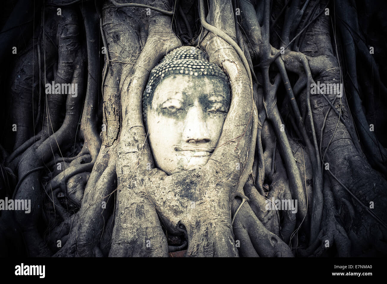 Hidden buddha figure hi-res stock photography and images - Alamy