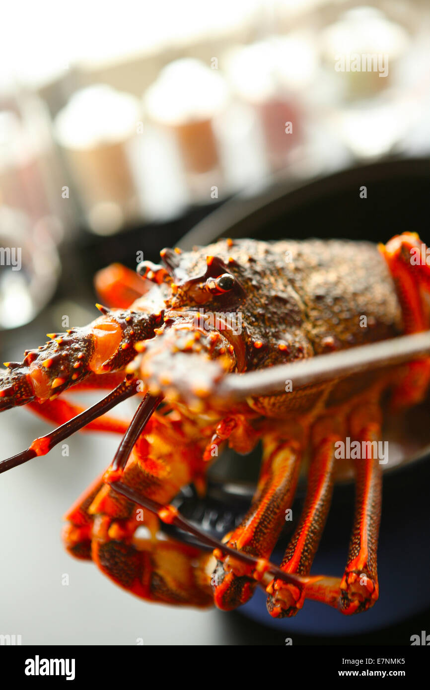 Close-up of lobster Stock Photo - Alamy