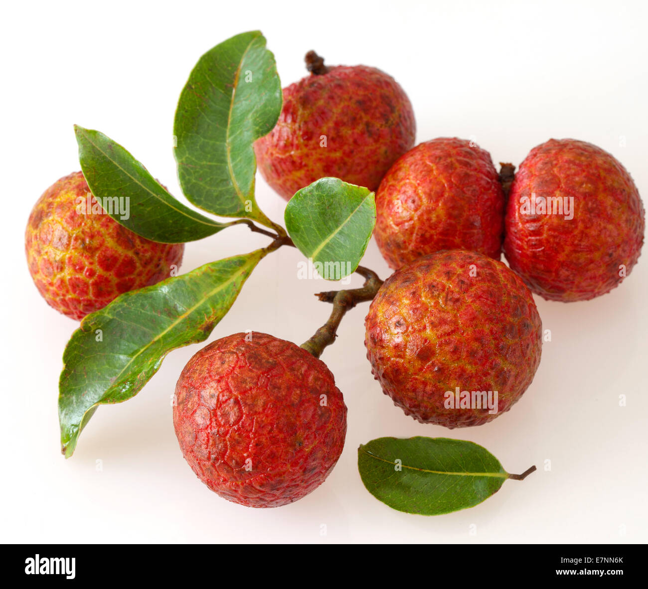 Litchi chinensis hi-res stock photography and images - Alamy