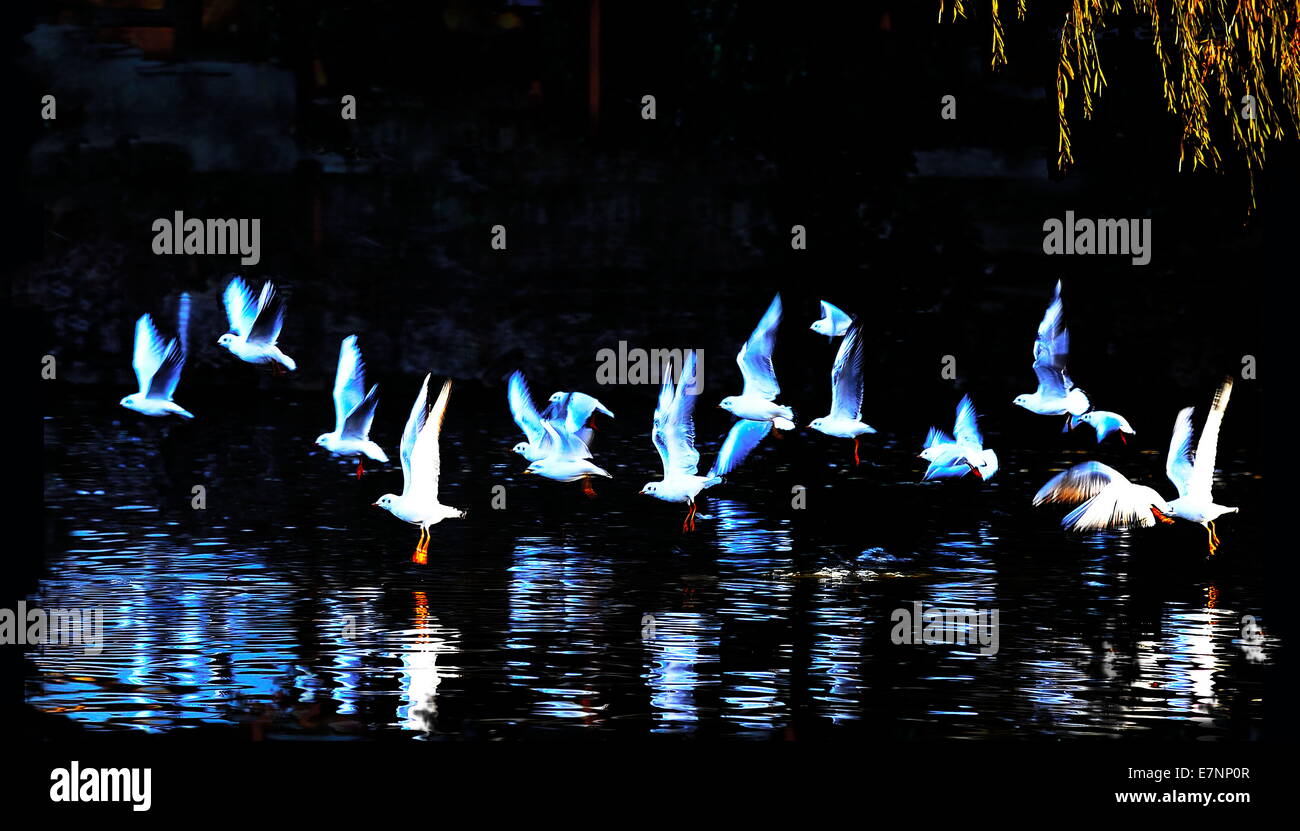 Moire sea hi-res stock photography and images - Alamy