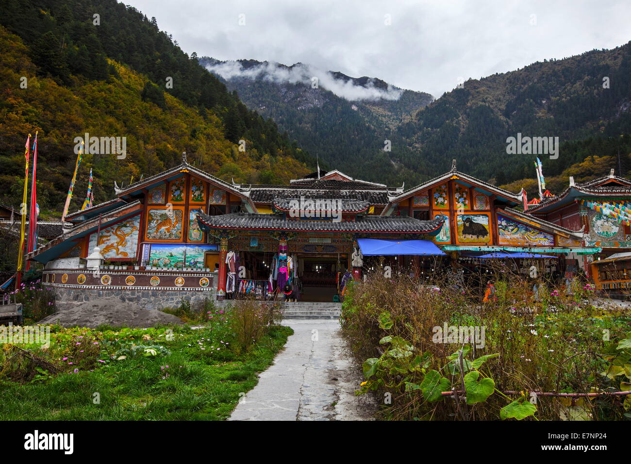 Sichuan low angle view hi-res stock photography and images - Alamy