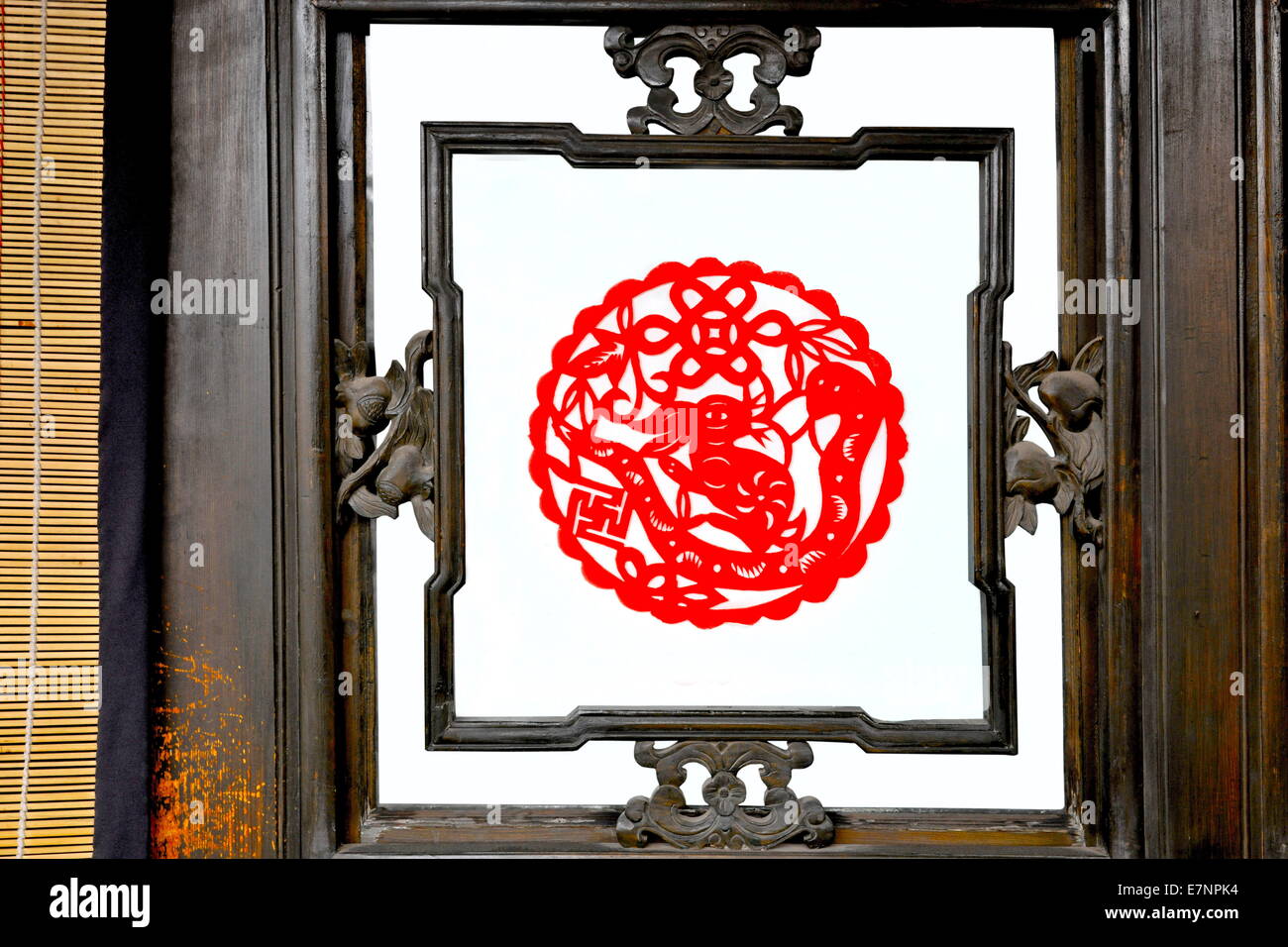 Photography cut out cut out hi-res stock photography and images - Alamy