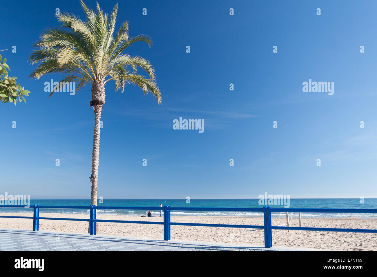 Palm tree sea embankment hi-res stock photography and images - Alamy