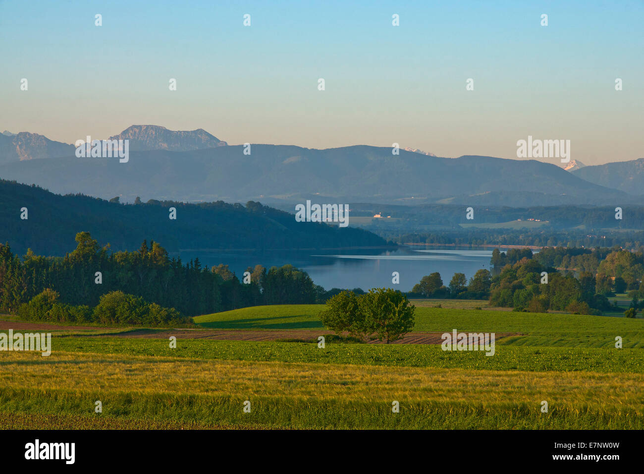 Maria muhlberg hi-res stock photography and images - Alamy