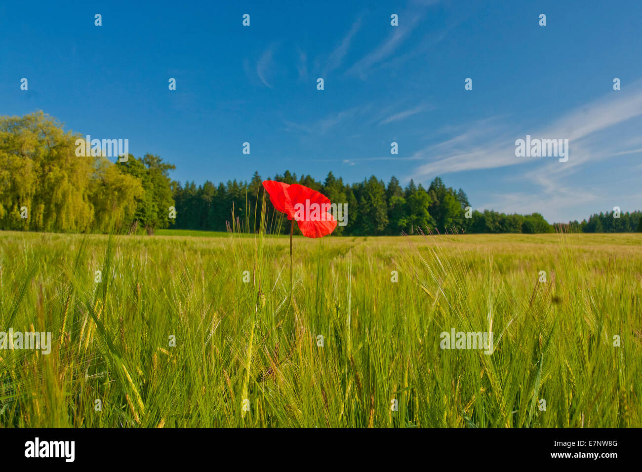 Red upper bavaria hi-res stock photography and images - Alamy