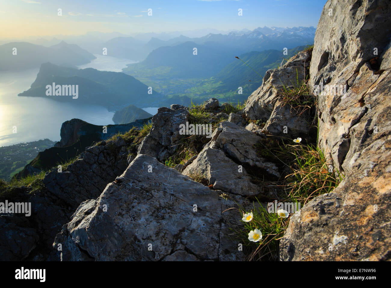 Flora view hi-res stock photography and images - Alamy