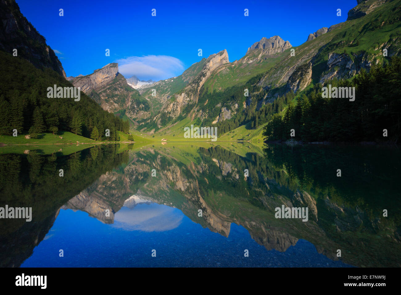 Alps, Alpstein, Alpstein area, Appenzell, Appenzell Innerrhoden, view ...