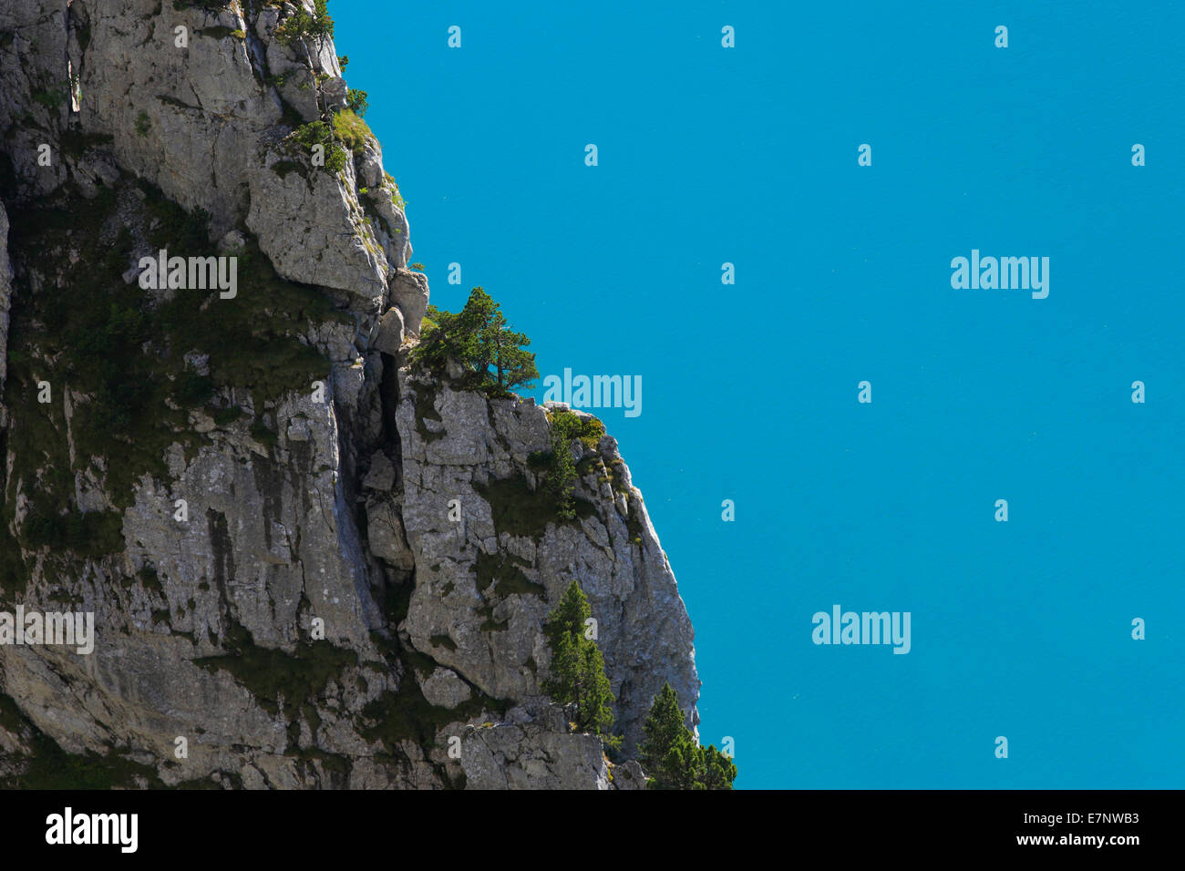 Alps, tree, mountain, mountains, trees, detail, cliff, cliff wall ...