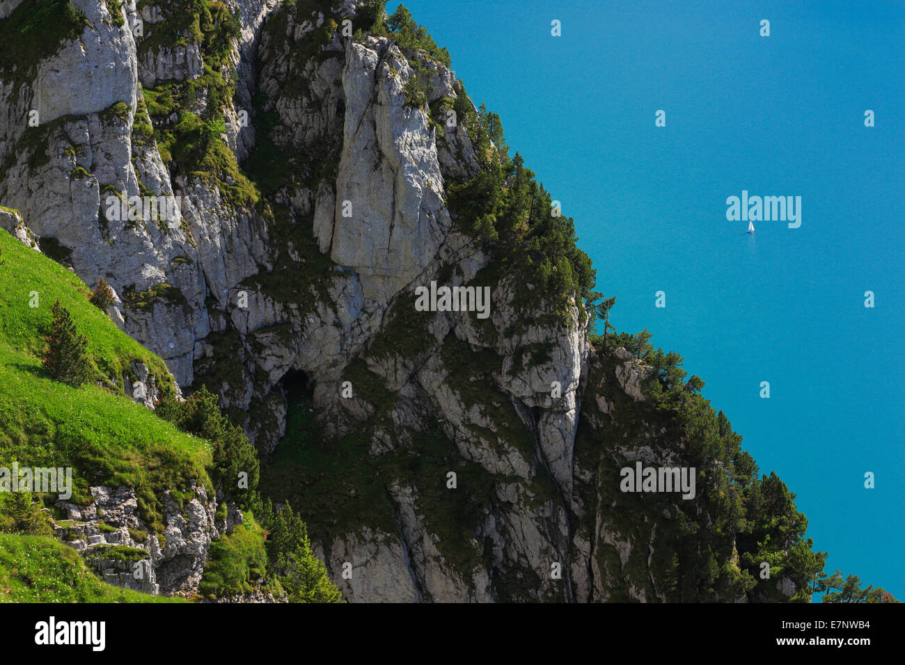 1, Alps, tree, mountain, mountains, trees, detail, cliff, cliff wall ...