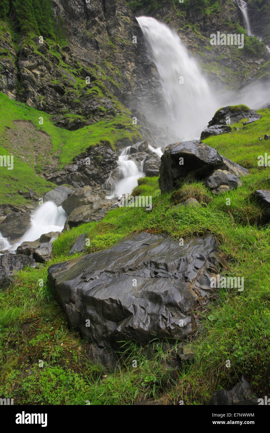 Asch hi-res stock photography and images - Alamy
