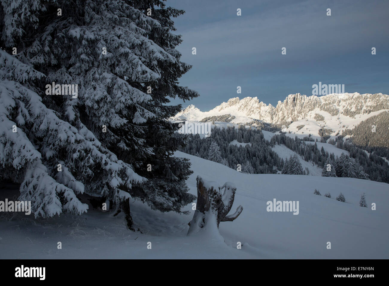 Gastlosen, Jaunpass, mountain, mountains, winters, canton Bern, tree ...