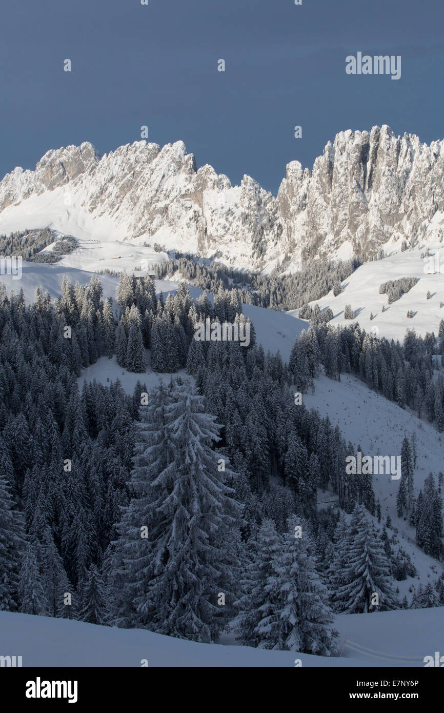 Gastlosen, Jaunpass, mountain, mountains, winters, canton Bern, tree ...