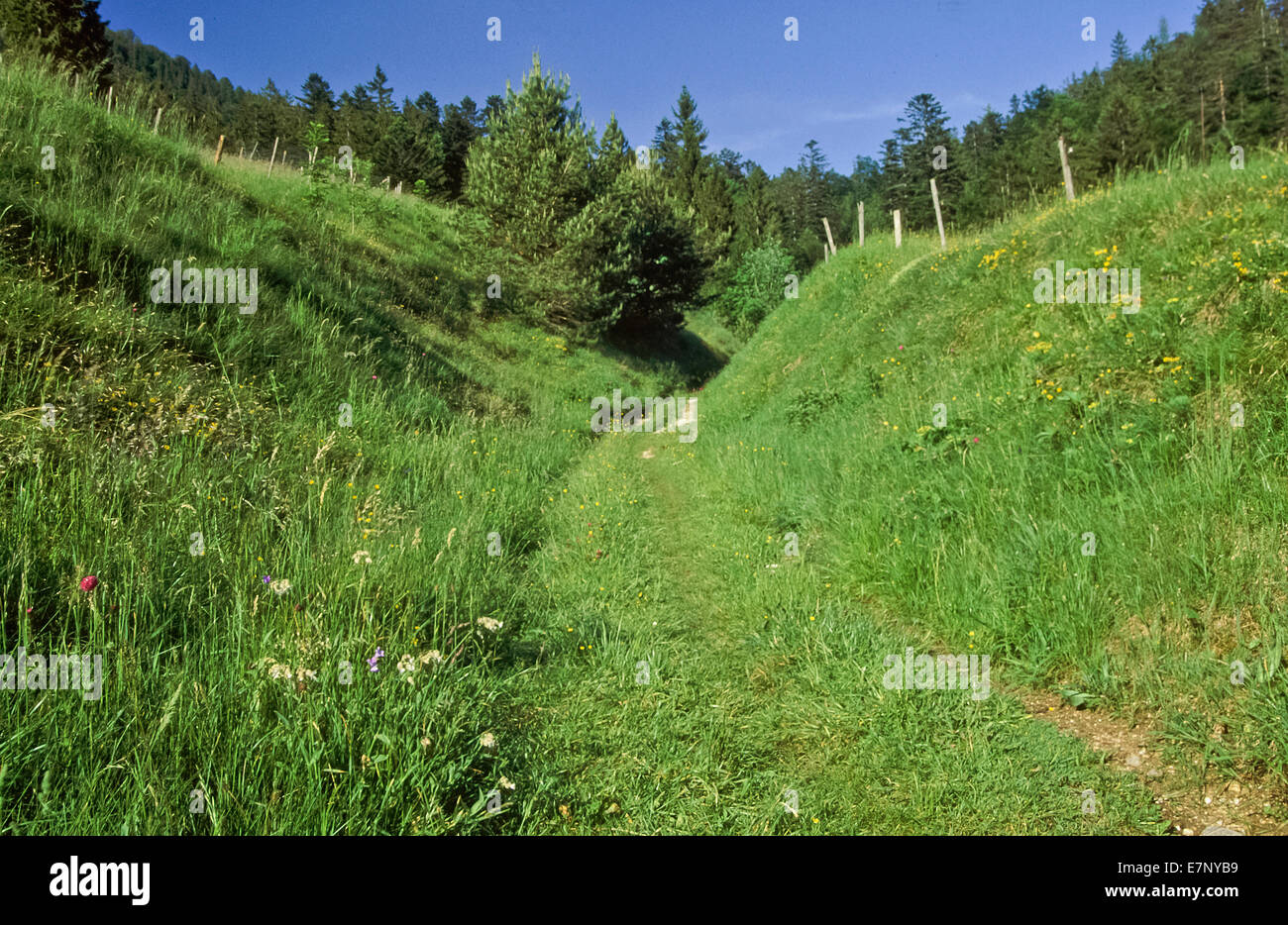 Europe, Germany, Bavaria, Upper Bavaria, scenery, landscape, regional ...