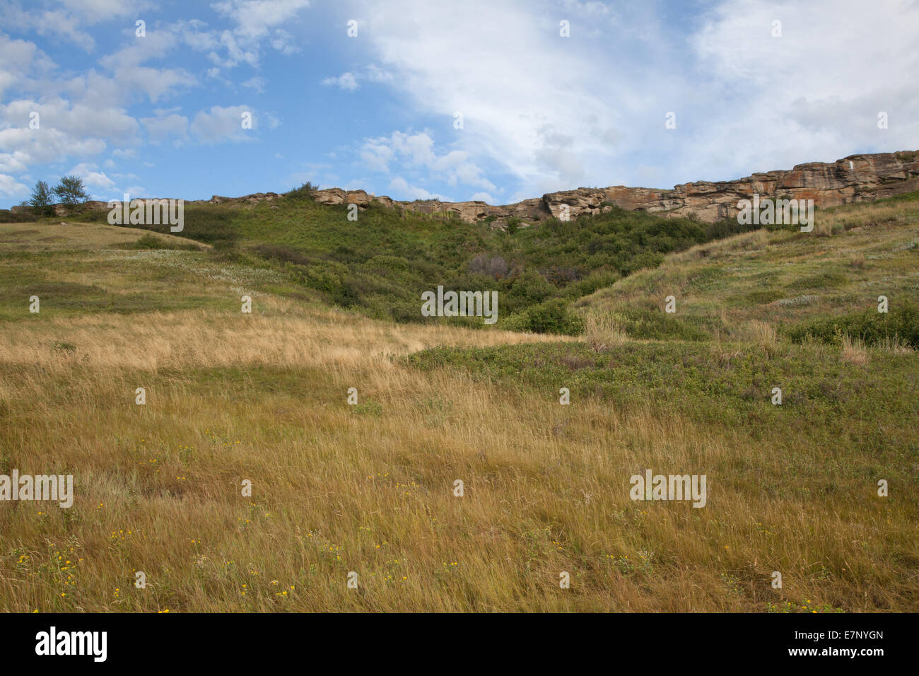 Alberta, USA, United States, North America, America, Canada, scenery ...