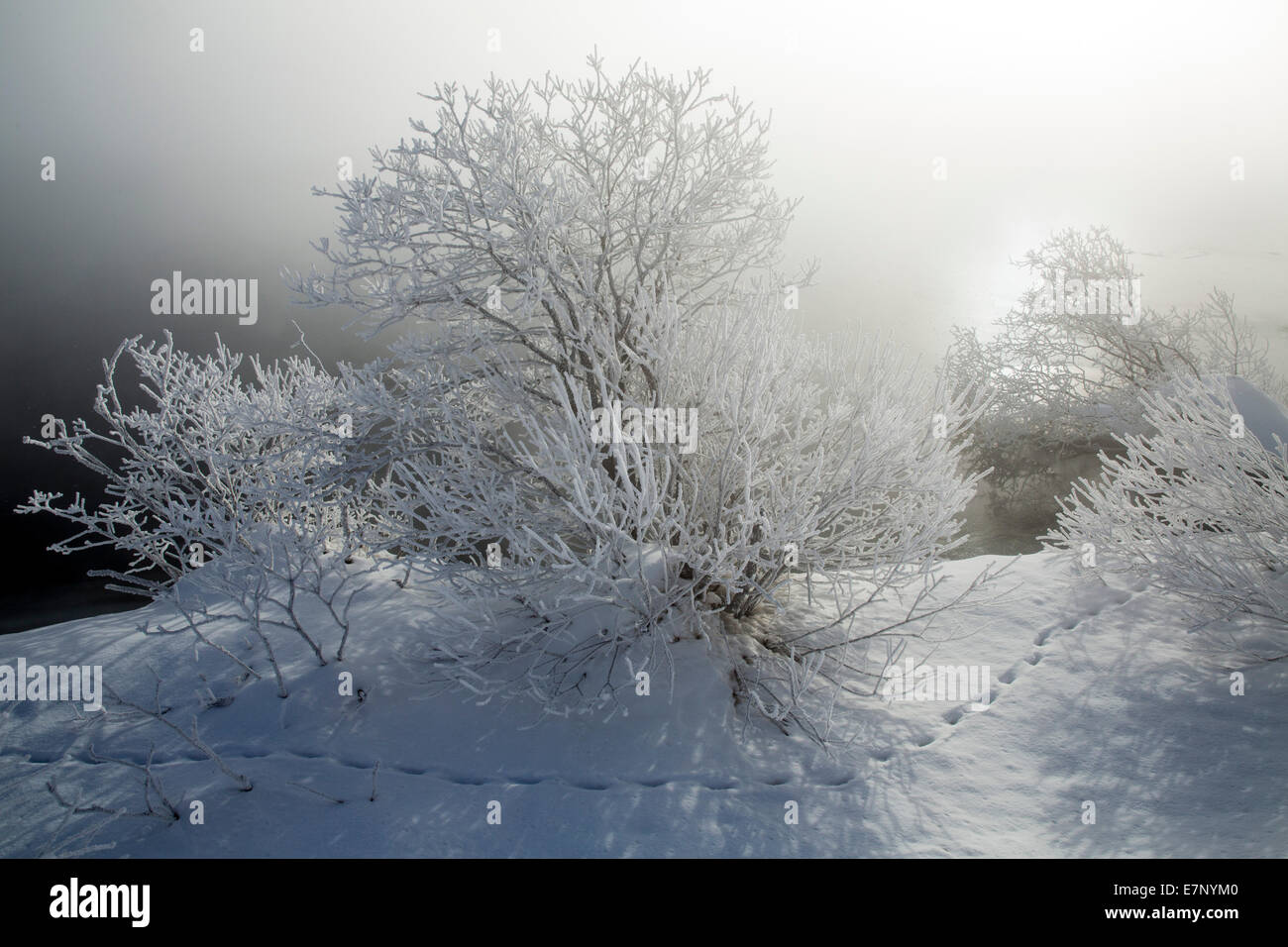 Samedan gr hi-res stock photography and images - Alamy