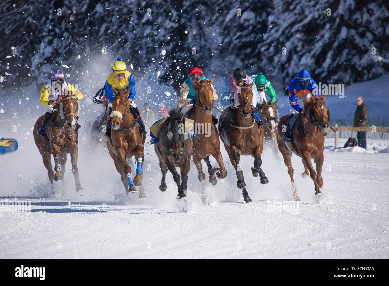 Engadin, Engadine, horse race, White Turf, Saint Moritz, St. Moritz, GR ...
