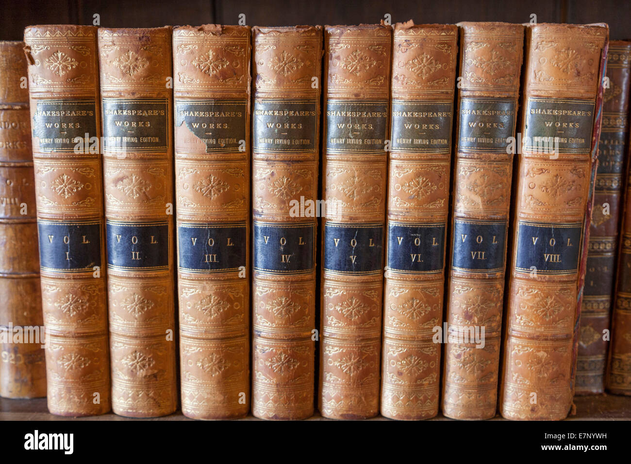 England, Europe, Warwickshire, Warwick, Warwick Castle, Bookshelf ...