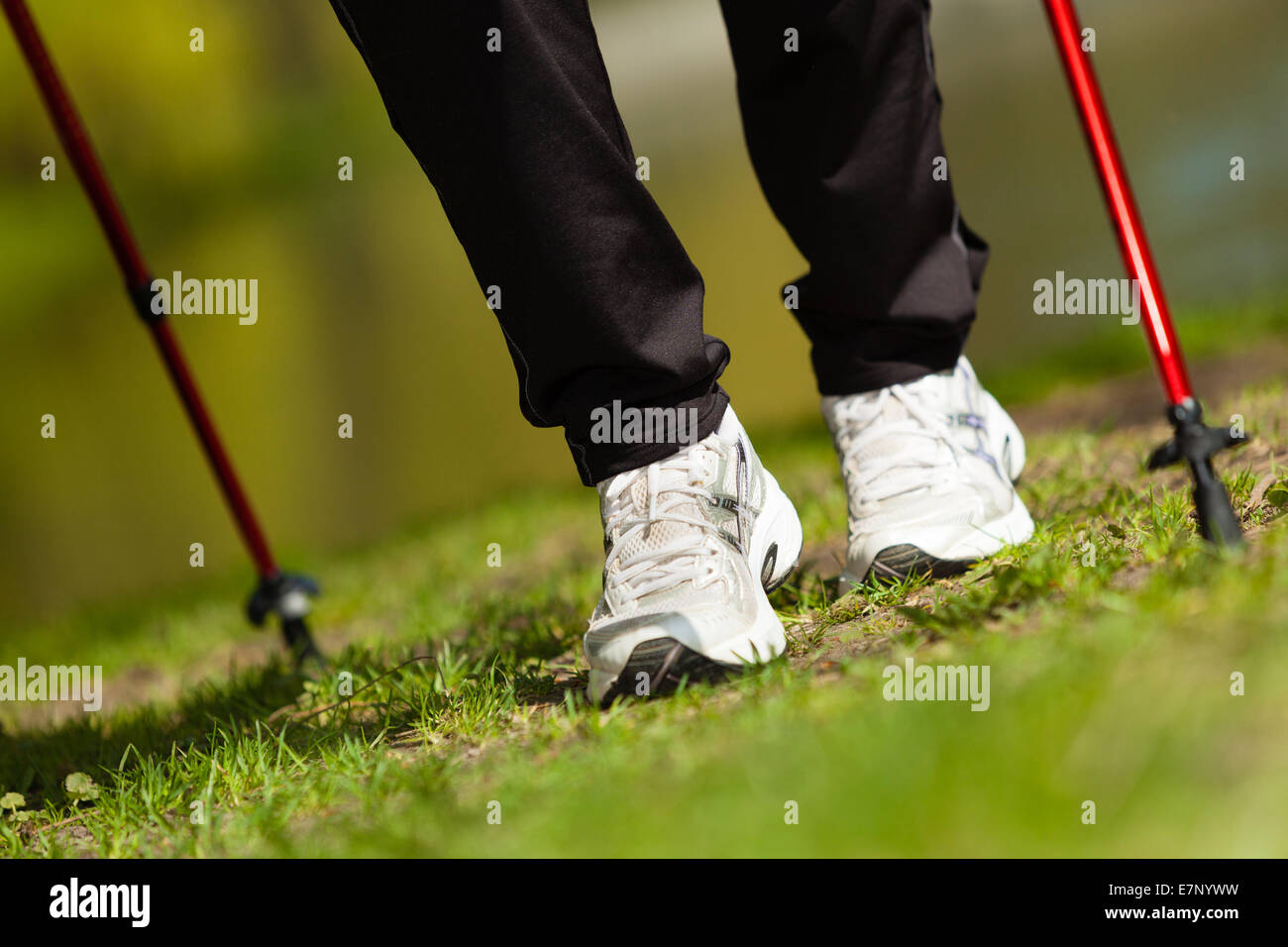 Nordic walking. Closeup of female legs hiking in the park. Active and ...