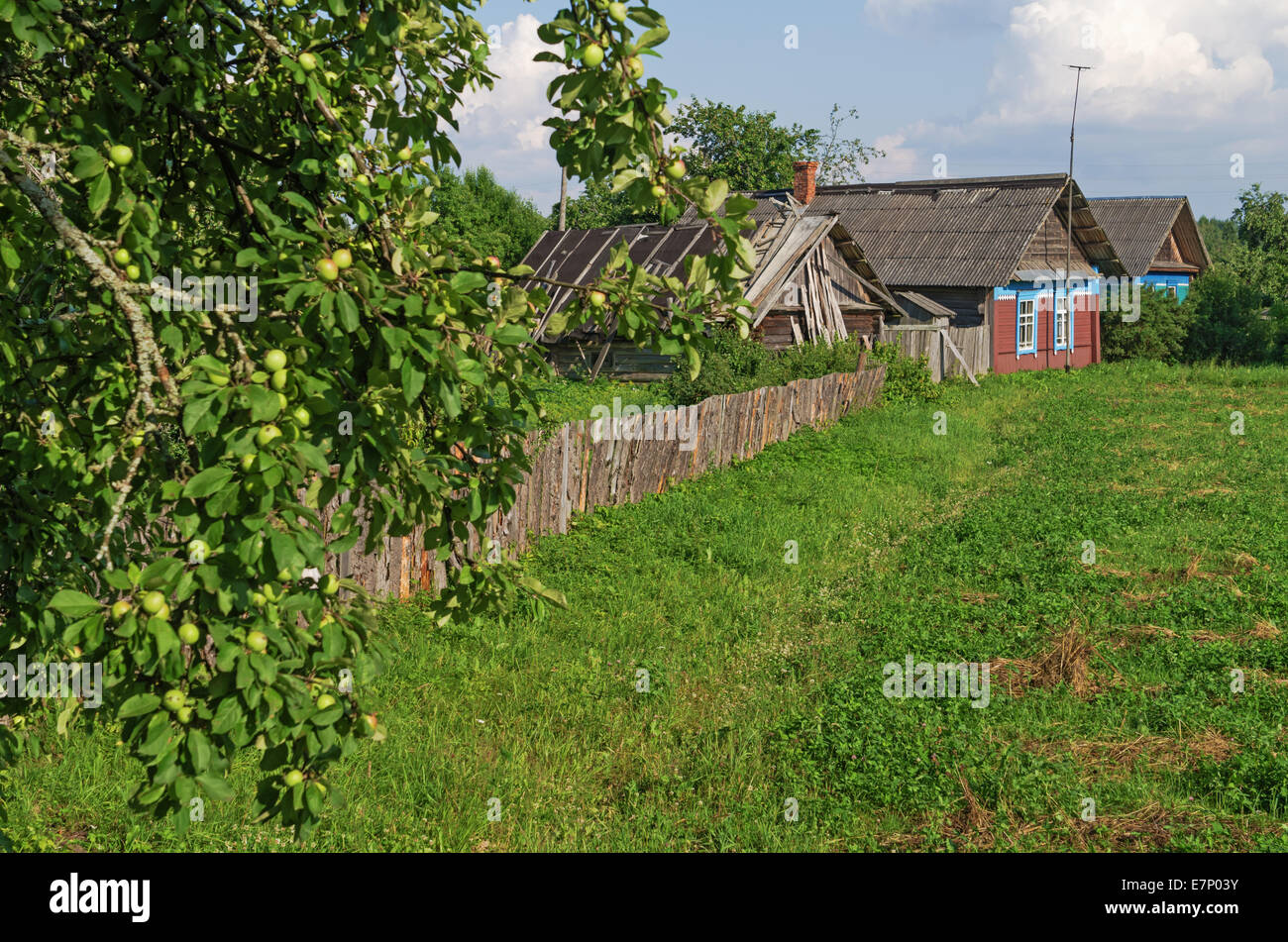 Apple-tree and village house Stock Photo - Alamy