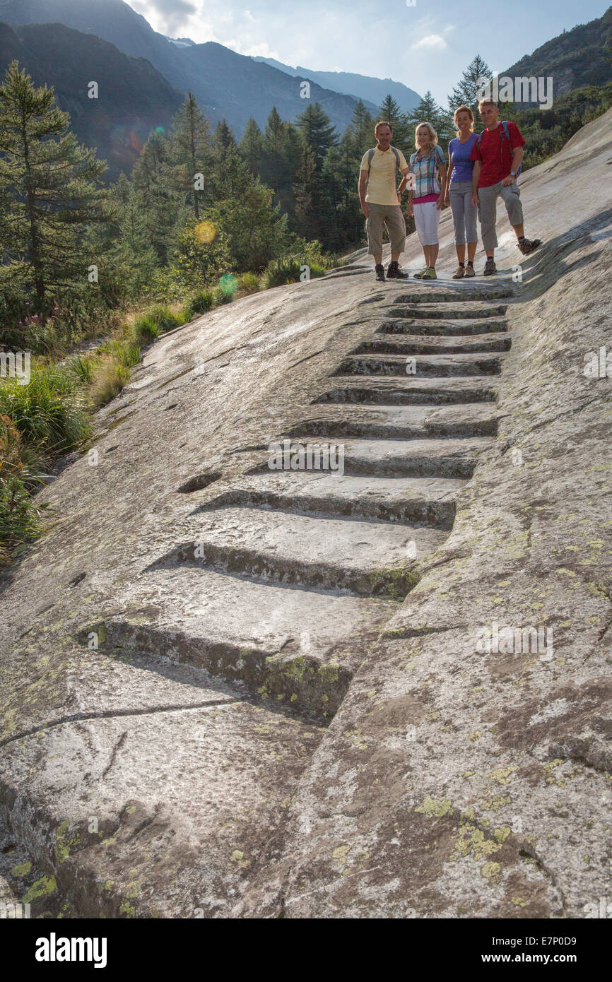 Mule track hi-res stock photography and images - Alamy