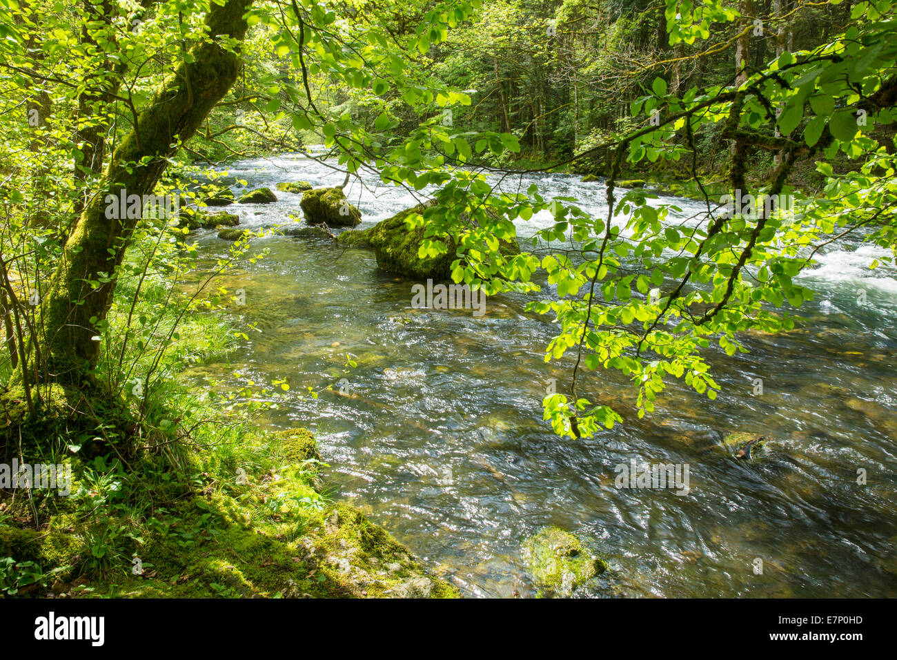 Orbe, Vallorbe, canton, VD, Vaud, Western Switerland, Romandie, river ...