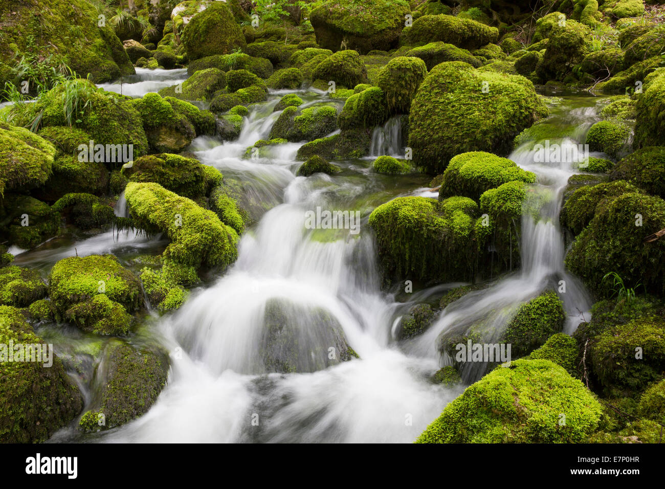 Orbe, Vallorbe, canton, VD, Vaud, Western Switerland, Romandie, river ...