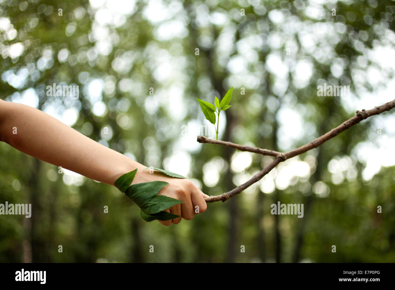 Environment concept. Handshake between human hand and tree Stock Photo ...