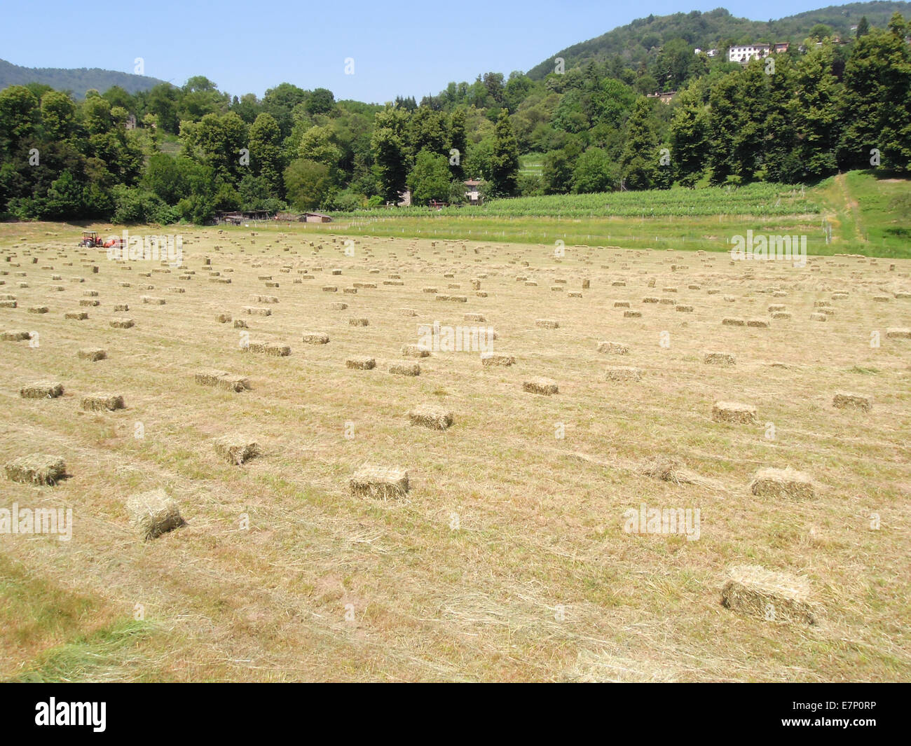 Switzerland, agriculture, bale, country, countryside, crop, cut, dry ...