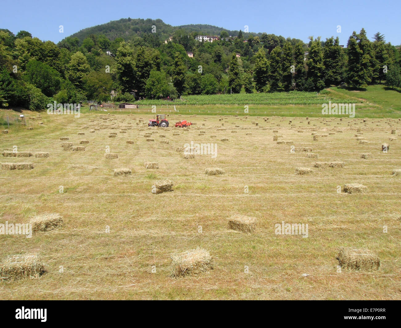 Switzerland, agriculture, bale, country, countryside, crop, cut, dry ...