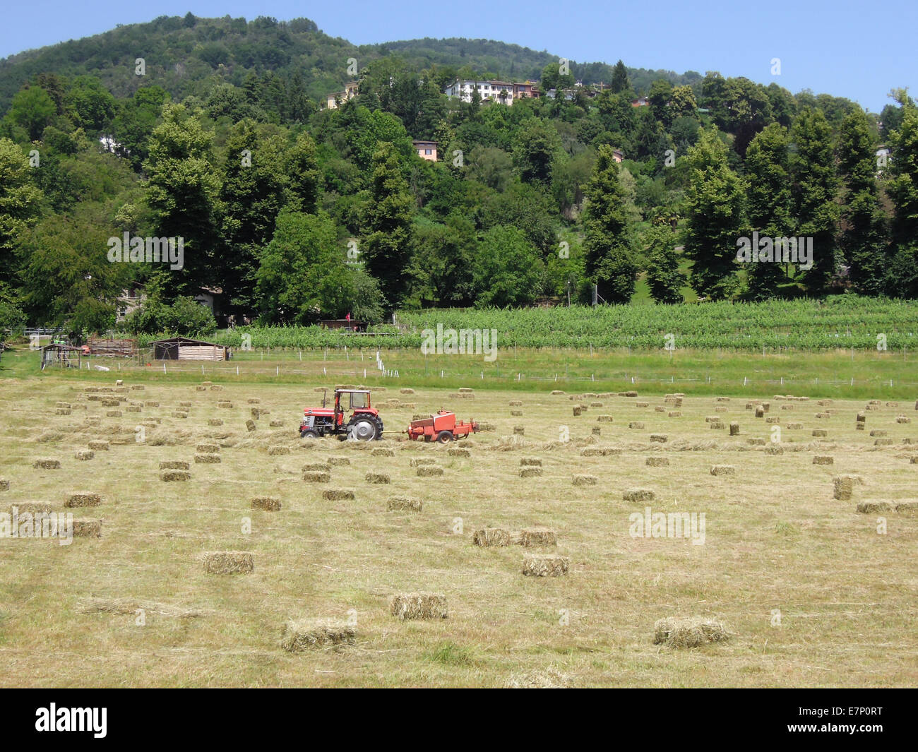 Switzerland, agriculture, bale, country, countryside, crop, cut, dry ...